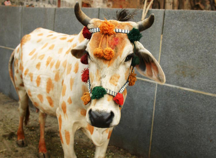 Kiplings rejser til Indien - indviduel rundrejse