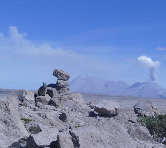 Gennem Inkariget til Iguazu | Fra Peru Til Brasilien → Klik Her!